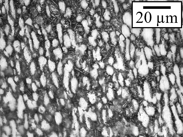 Simulation of Microstructure Evolution of Ti Alloy During Hot Forging ...