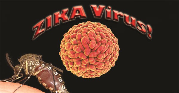 Behind the World’s Top Drugmakers’ Approach to Zika Vaccine | New ...